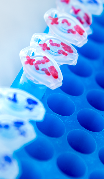 Ludwig Cancer Research